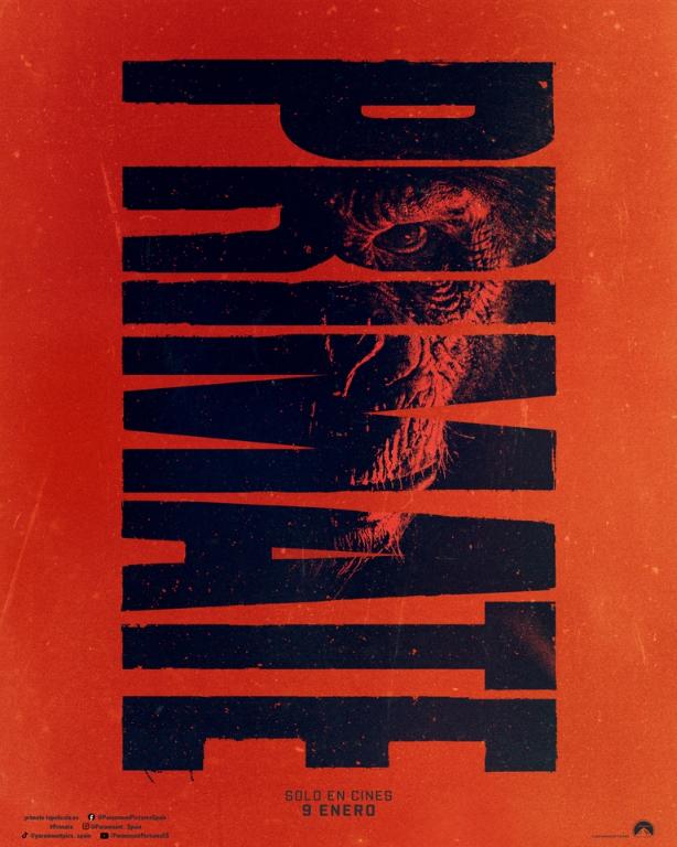 Tráiler de ‘Primate’, de Johannes Roberts. Estreno en enero de 2026 por ...